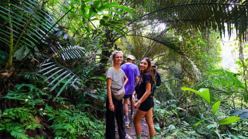 From Hanoi: Discover Cat Ba - Green Island - The Value of the Tour