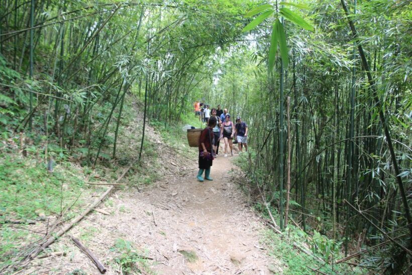 From Hanoi: Discover Sapa 2-Day 1-Night Trekking Adventure - Key Points