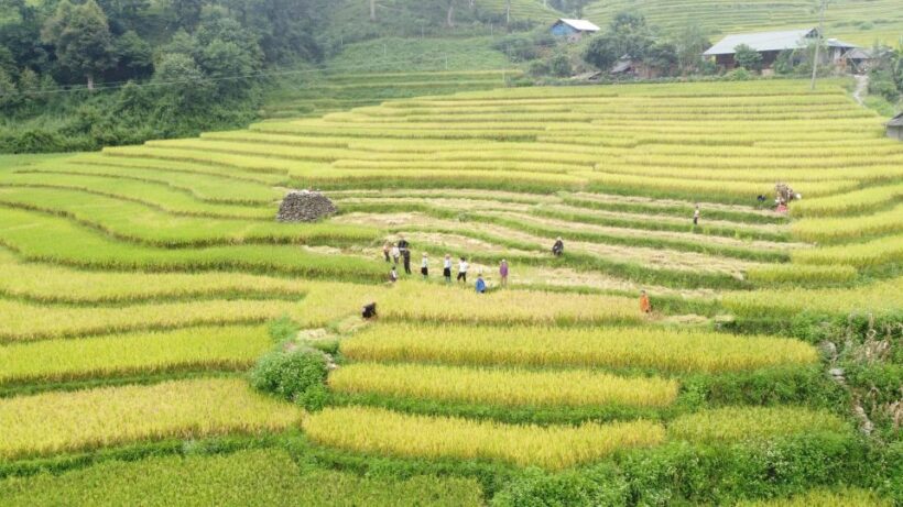 From Hanoi: Discover Sapa 2-Day 1-Night Trekking Adventure - Starting the Adventure: Journey from Hanoi to Sapa
