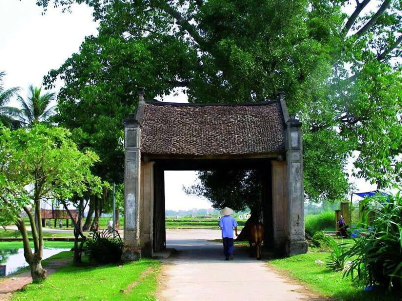 From Hanoi: Duong Lam Village Private Tour In Half Day - FAQ