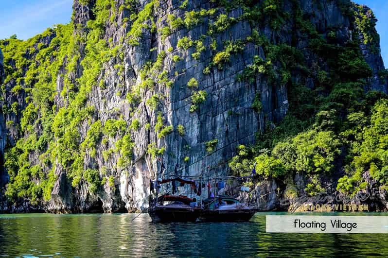 From Hanoi: Explore Cat Ba Islands In 1 Day - Final Thoughts: Who Is This Tour Best For?
