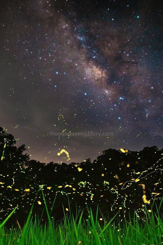 From Hanoi Explore Fresh Nature, See Wild Animal & Fireflies - The Sum Up