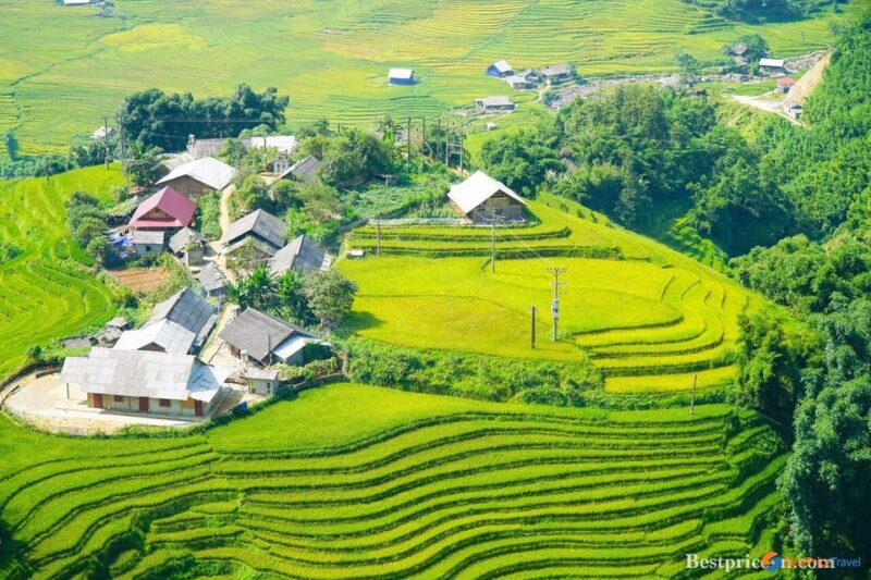 From Hanoi: Explore Sapa & Local Village 3 Days - Transportation & Accommodation: Comfort and Convenience
