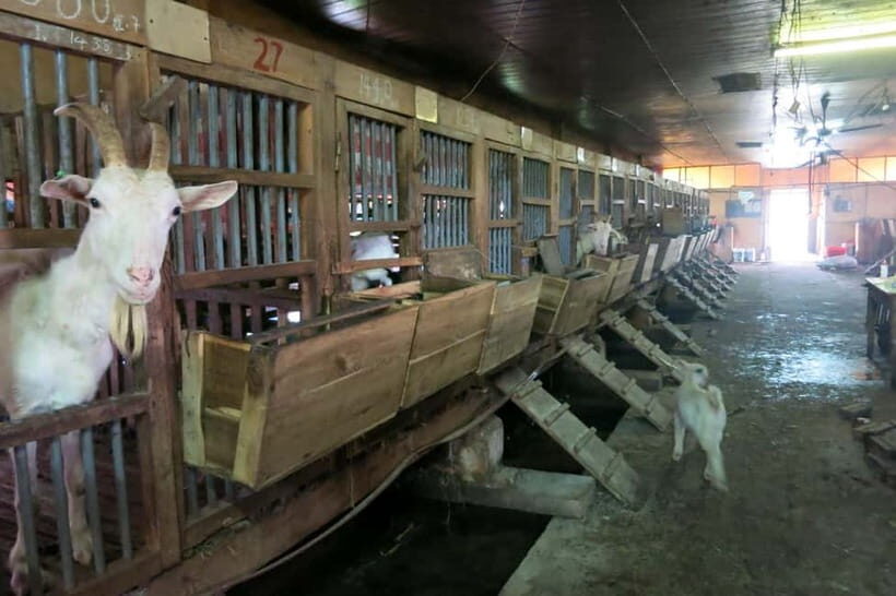 From Hanoi: Full-Day Authentic Vietnam Farming Tour - Authenticity and Cultural Value