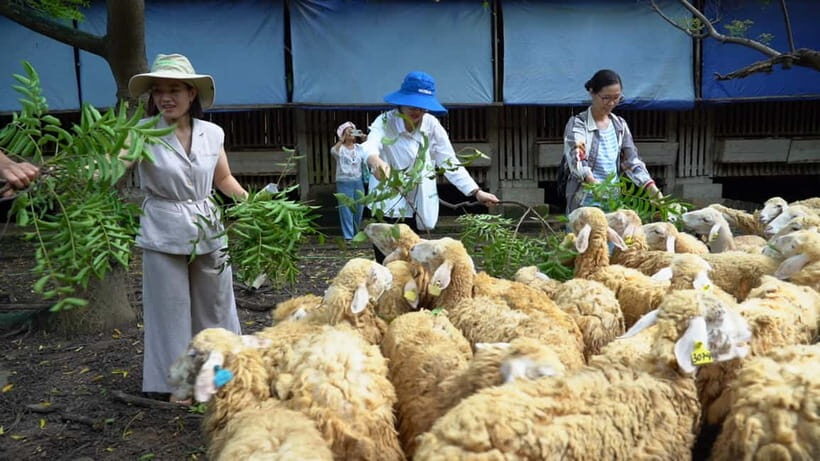 From Hanoi: Full-Day Authentic Vietnam Farming Tour - FAQ