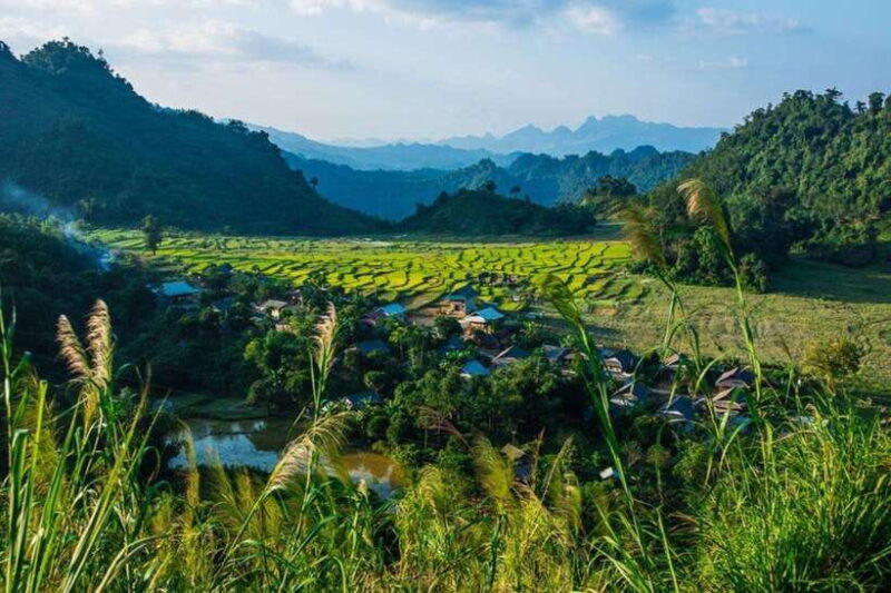 From Hanoi: Full-Day Mai Chau Group or Private Tour - Analyzing the Value