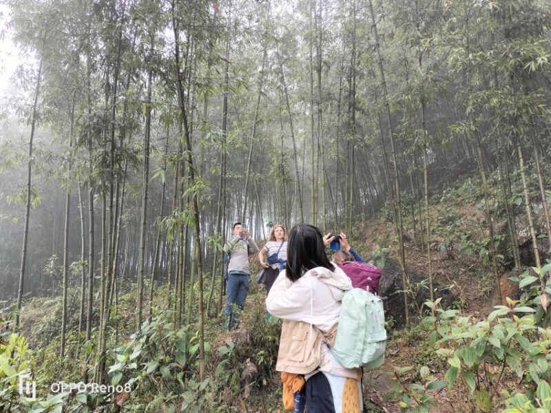 From Hanoi: Guided 2-Day Tour of Sa Pa with Lunch & Dinner - Final Summary