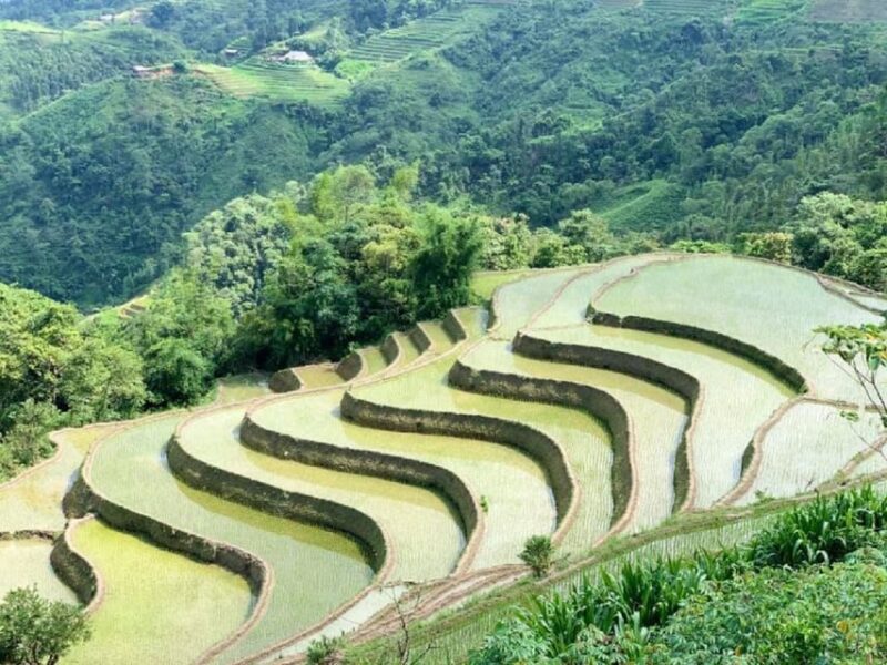 From Hanoi: Ha Giang Guided 3-Day Trip - Who Is This Tour Best For?