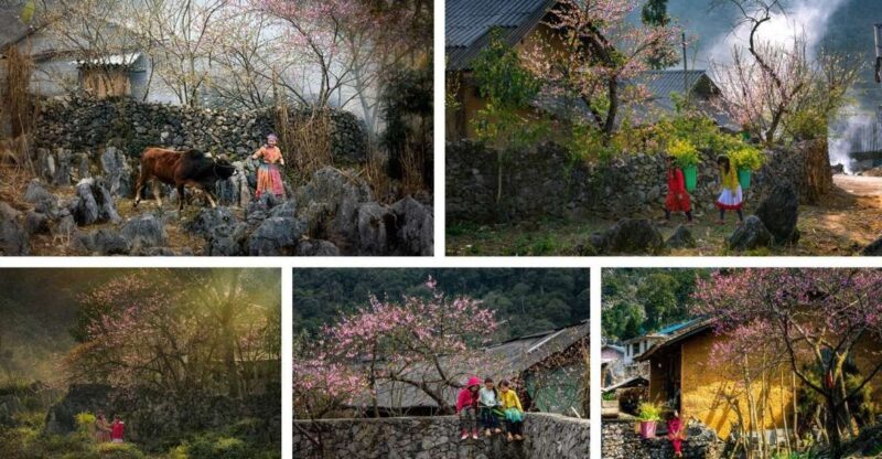 From Hanoi: Ha Giang Loop 3 days 3 nights with easy rider - Key Points