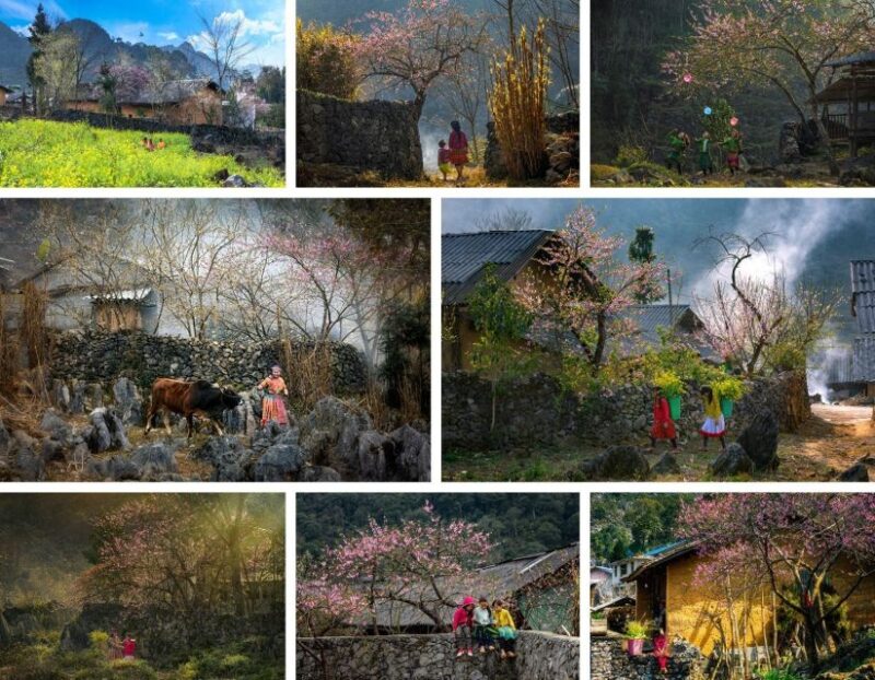 From Hanoi: Ha Giang Loop 4 days 4 nights with easy rider - Day 4: Cave Exploration and Return to Ha Giang