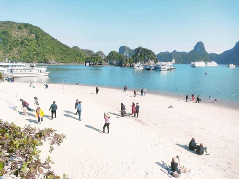 From Hanoi: Ha Long Bay Luxury Day Cruise with Food & Kayak - FAQ