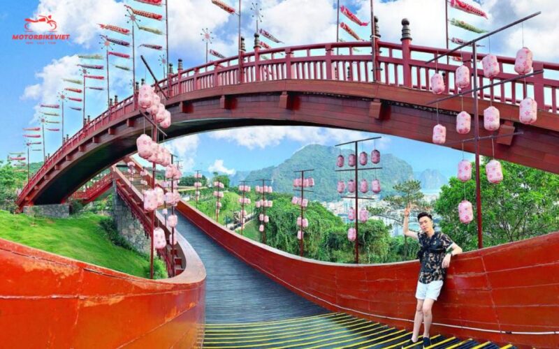 From Hanoi: Halong Bay 1 day tour on a luxury cruise - Key Points