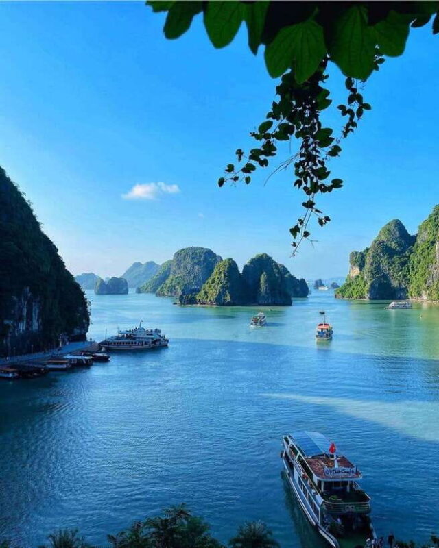 From Hanoi: Halong Bay Cruise with Cave Visit and Lunch - Introduction