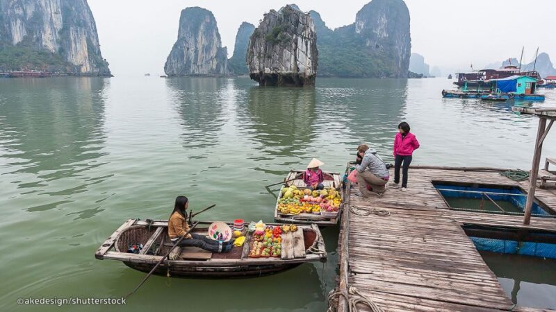 From Hanoi: Halong Bay Day Trip with Lunch and Transfers - Verdict: Is This Tour Worth It?