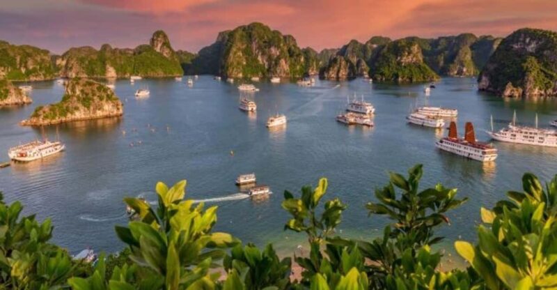 From Hanoi: Halong Bay, Titop Island, Sung Sot & Luon Caves - A Detailed Look at the Tour Experience