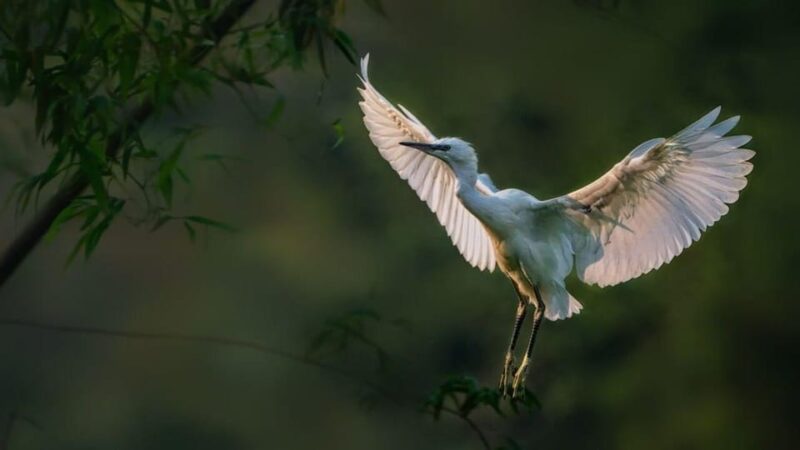 From Hanoi: Hoa Lu / Bai Dinh & Bich Dong & Thung Nham - FAQ