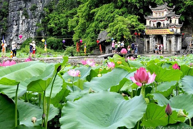 From Hanoi: Hoa Lu, Tam Coc, and Mua Cave Scenic Day Trip - An In-Depth Look at the Experience