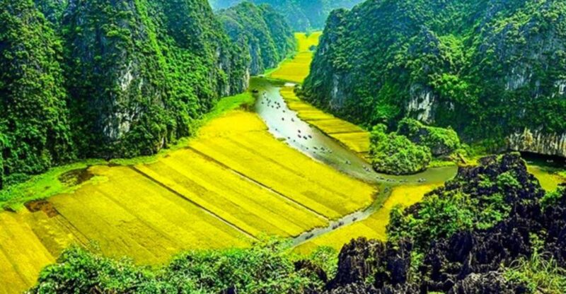 From Hanoi : Hoa Lu - Trang An and Mua Cave Full-Day Trip - What’s Included and What You Should Consider