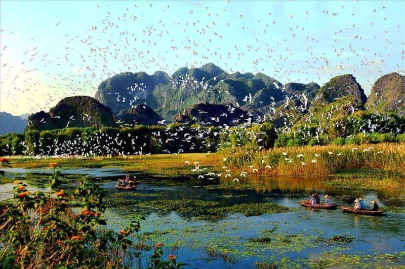 From Hanoi: Hoa Lu & Van Long Nature Reserve Day Tour - An In-Depth Look at the Itinerary