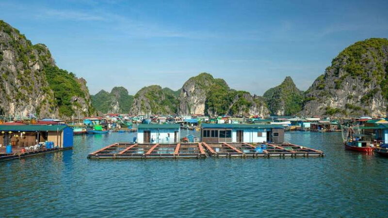 From Hanoi: Luxury Day Cruise to Ha Long Bay & Lan Ha Bay - Discovering Vietnam’s Hidden Gem: A Review of the Luxury Day Cruise to Ha Long Bay & Lan Ha Bay