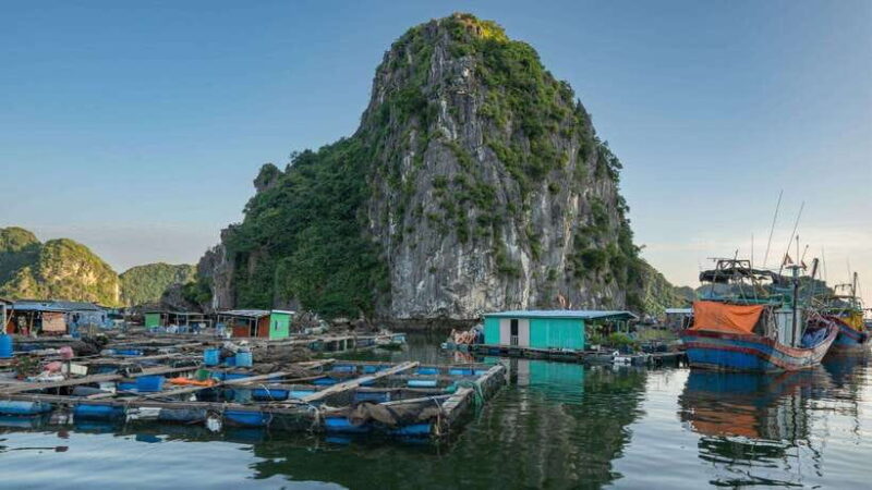 From Hanoi: Luxury Day Cruise to Ha Long Bay & Lan Ha Bay - FAQ