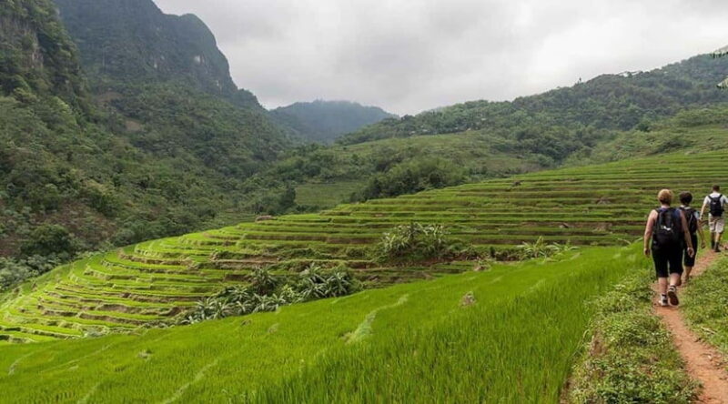 From Hanoi: Mai Chau and Pu Luong Nature Reserve 2-Day Tour - Who Will Love This Tour?
