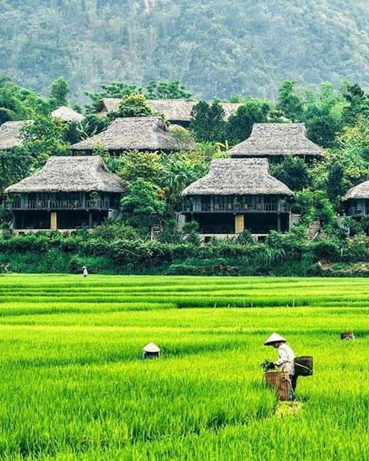 From Hanoi: Mai Chau Excursion 1 Day with Cycling and Lunch - A Deeper Look at the Mai Chau Day Trip