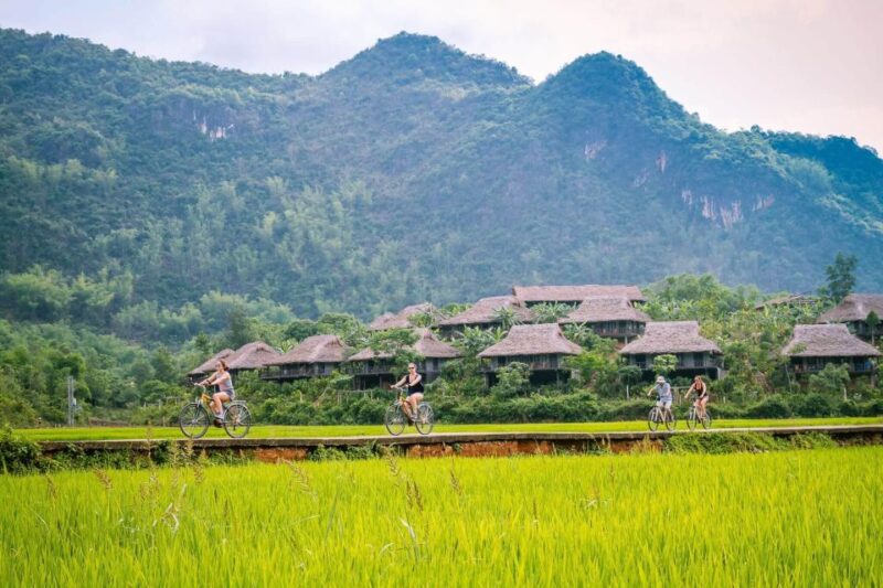 From Hanoi: Mai Chau Fullday With Biking Around Rice Paddies - What Travelers Say