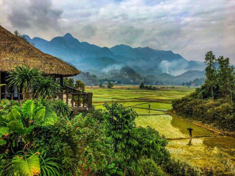From Hanoi: Mai Chau Fullday With Biking Around Rice Paddies - Who This Tour Suits Best