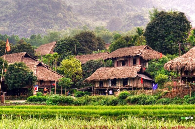 From Hanoi: Mai Chau Fullday With Biking Around Rice Paddies - Final Thoughts