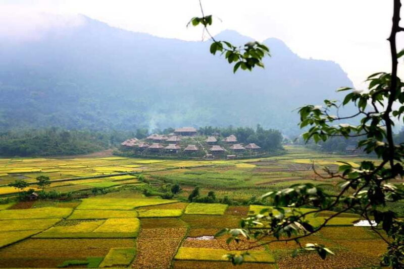 From Hanoi: Mai Chau Valley Day Trip with Cycling - The Cycling Experience: Bucolic and Accessible