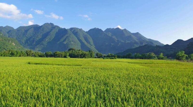 From Hanoi: Mai Chau Valley Day Trip with Lunch - Cultural Encounters and Personal Interactions