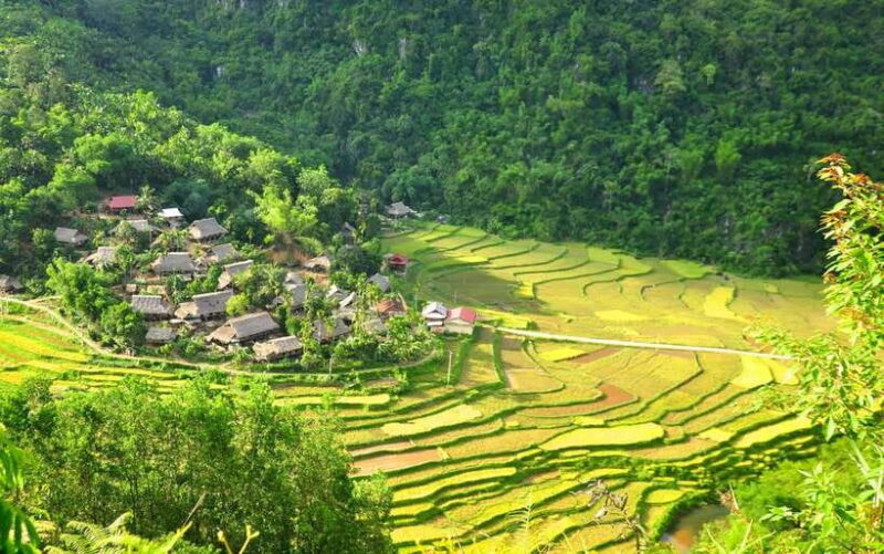 From Hanoi: Mai Chau Valley Day Trip with Lunch - Who Will Benefit Most from This Tour?