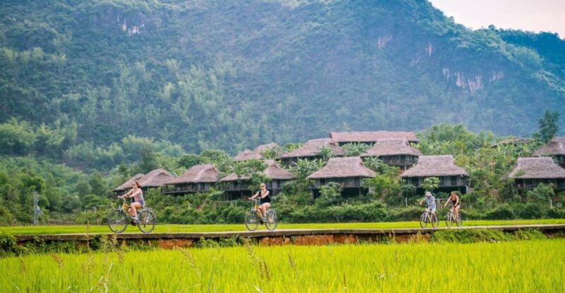 From Hanoi: Mai Chau Valley & Hill Tribes 2-Day Trek Tour - The Value and Practicalities