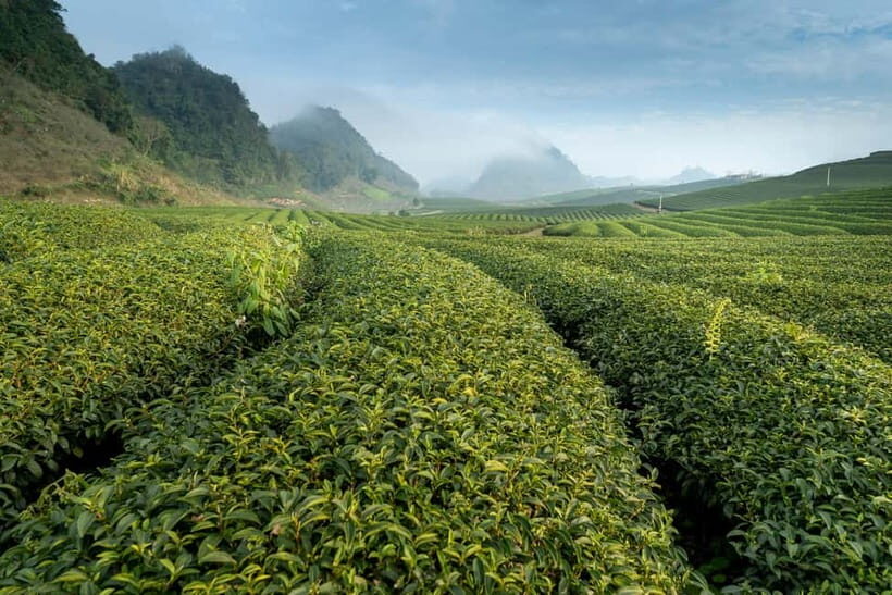 From Hanoi: Moc Chau 3-Day Guided Tour - Key Points