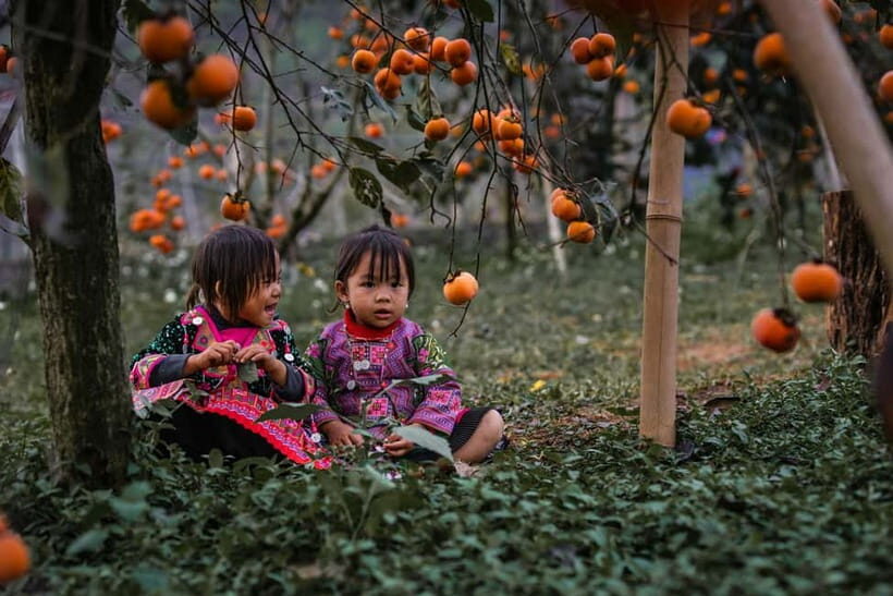 From Hanoi: Moc Chau 3-Day Guided Tour - An Introduction to the Moc Chau Tour Experience