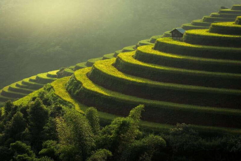 From Hanoi: Mu Cang Chai 3D2N trekking with local people - Discover the beauty of Vietnam’s Mu Cang Chai on a 3-day trekking tour from Hanoi