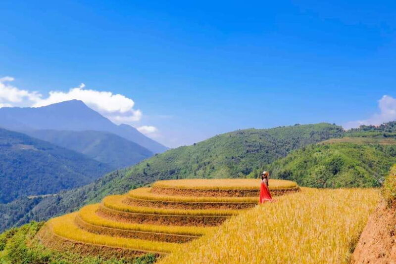 From Hanoi: Mu Cang Chai 3D2N trekking with local people - An in-depth look at the Mu Cang Chai 3D2N trekking experience