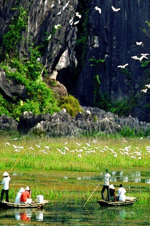 From Hanoi: Ninh Binh 2-Day Tour with Hoa Lu and Tam Coc - Final Thoughts
