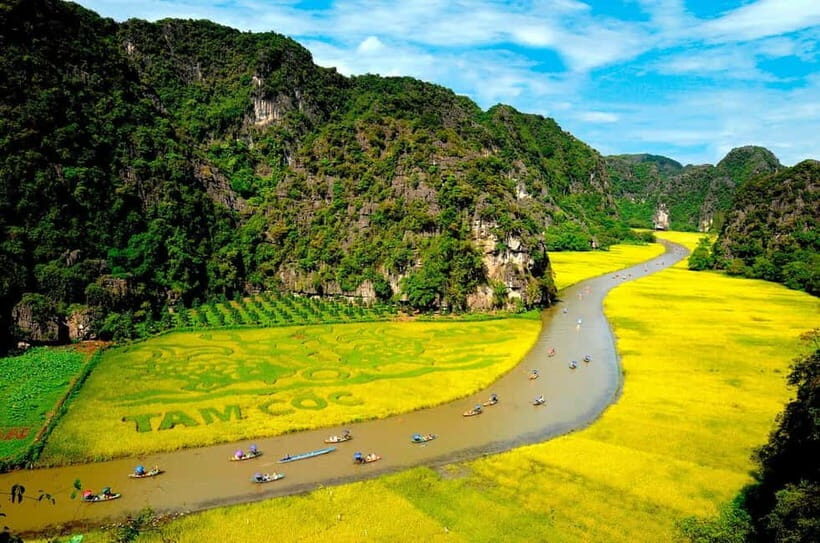 From Hanoi: Ninh Binh Bai Dinh or Hoa Lu, Trang An, Mua Cave - Transport, Guides, and Overall Value