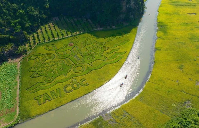 From Hanoi: Ninh Binh Tour 1 day- Hoa Lu, Tam Coc/Trang An - The Experience and Its Authenticity
