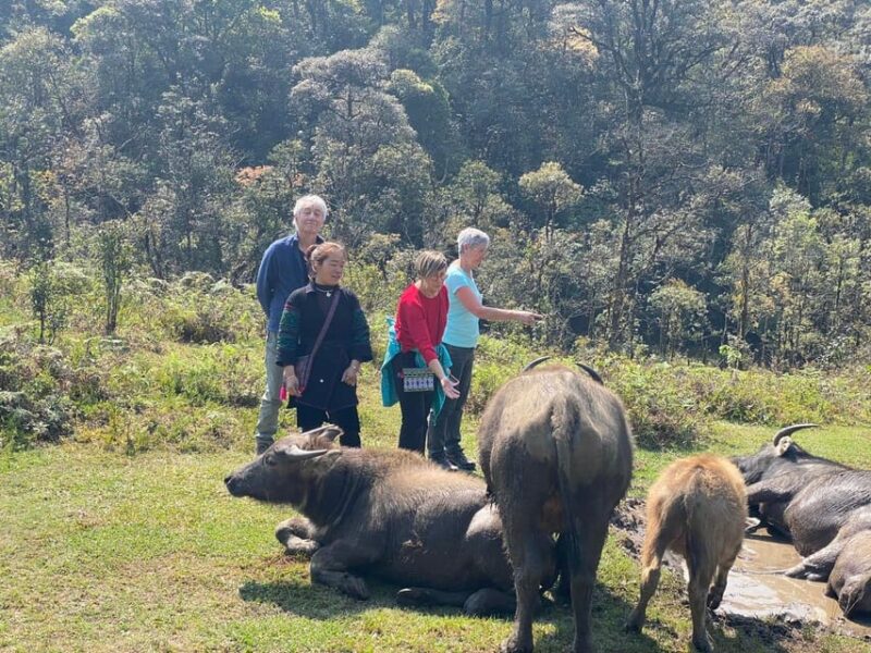 From Hanoi or Ha Giang : Sapa Trekking 3-Day Full Package - Who Will Love This Tour?