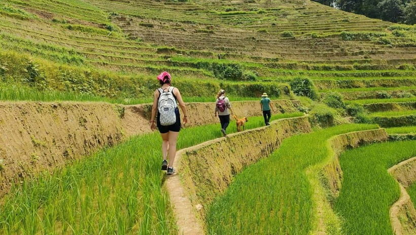 From Hanoi: Private 2-Day Mu Cang Chai Homestay & Trekking - An In-Depth Look at the 2-Day Mu Cang Chai Tour