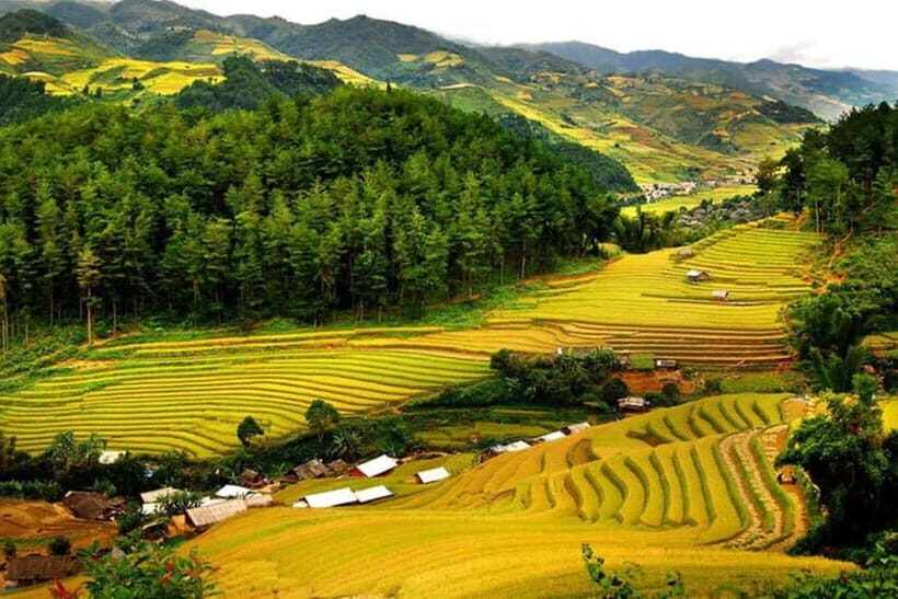 From Hanoi: Private/Group tour to Mai Chau Valley Full Day - Introduction: The Charm of Mai Chau in a Day
