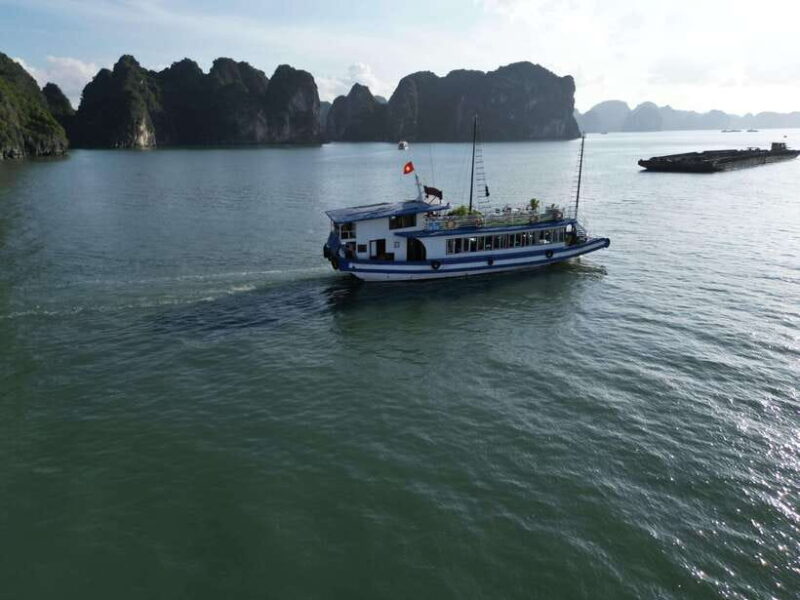 From Hanoi: Private Ha Long Bay Full-day Trip - Who Is This Tour Best For?