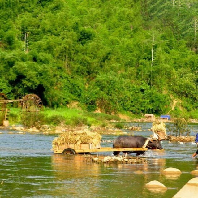 From Hanoi - Pu Luong 2D1N - Offbeat Trekking Tour - From Hanoi to Pu Luong 2D1N Offbeat Trekking Tour: An Authentic Vietnamese Escape