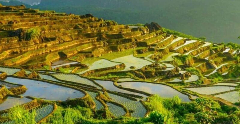 From Hanoi: Pu Luong Nature Reserve Vacation 2D1N - Key Points