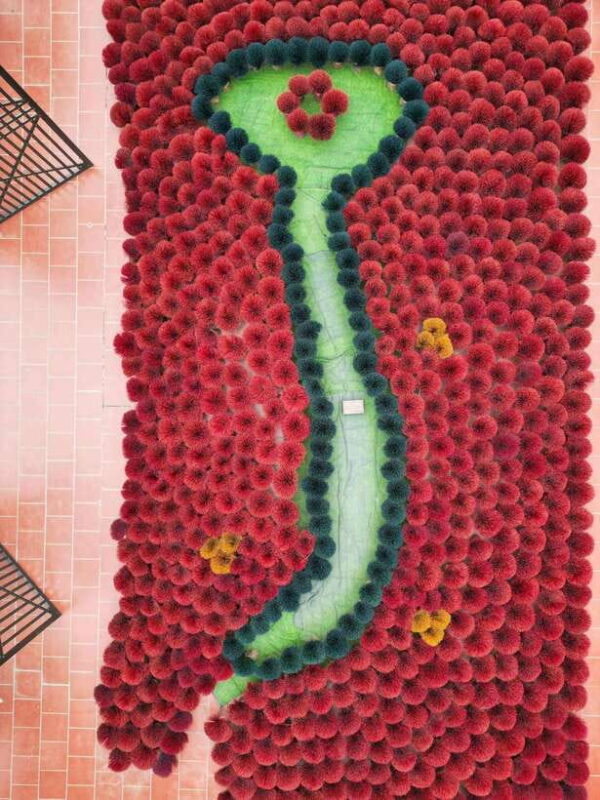 From Hanoi: Quang Phu Cau Incense Village Half-Day Tour - The Itinerary in Detail