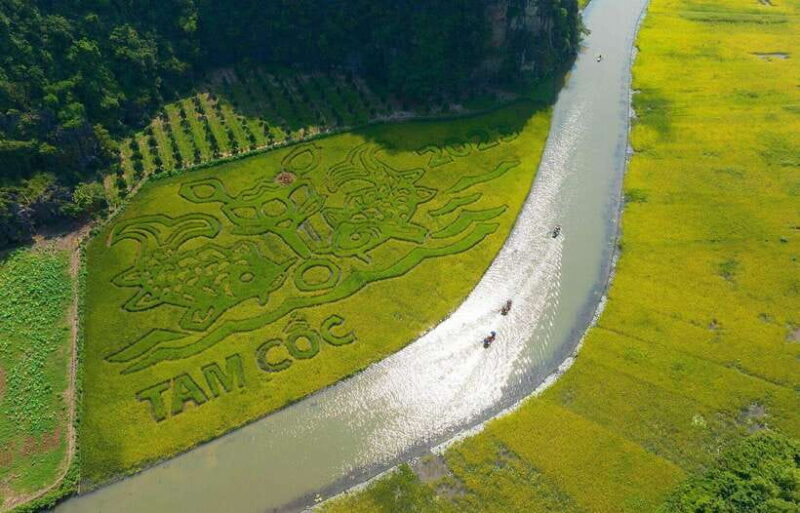 From Hanoi: Quang Phu Cau Incense Village & Ninh Binh Tour - Exploring Hoa Lu: Vietnam’s First Capital