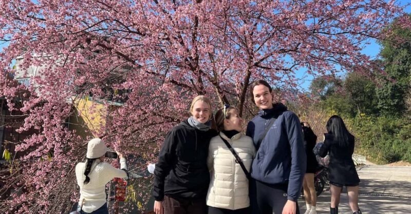 From Hanoi/Sapa: 2-Day Ha Giang Loop Tour (easy rider) - Discovering the Itinerary: A Day-by-Day Breakdown